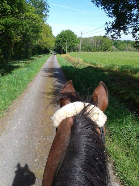 CEE BERRY - Nos paysages et nos concours