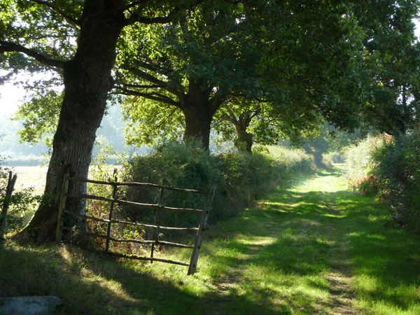 CEE BERRY - Paysage Berrichon
