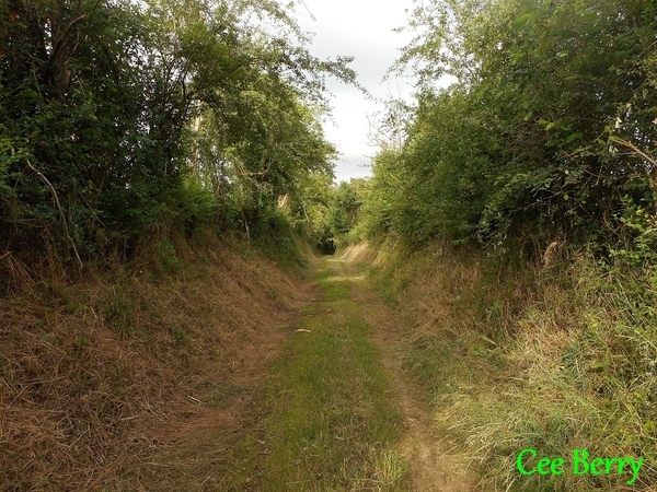 CEE BERRY - Les pistes Montipouret