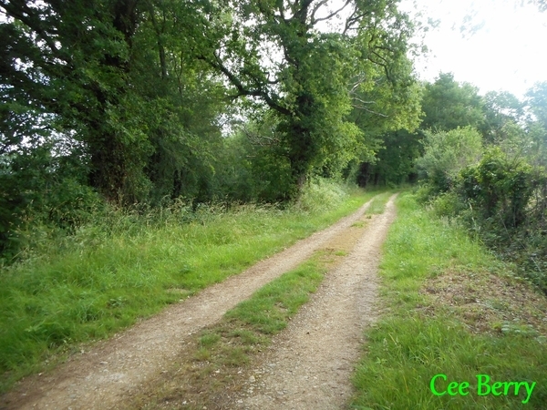CEE BERRY - Les pistes Montipouret